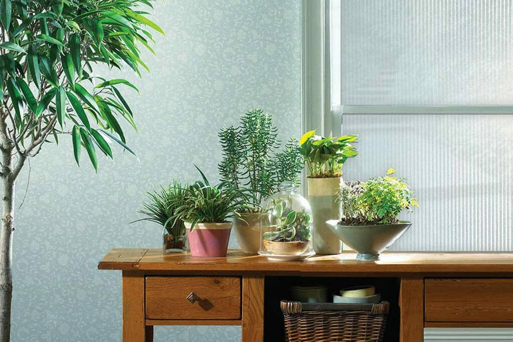 Privacy Window Film - One Way Visibility Window Films