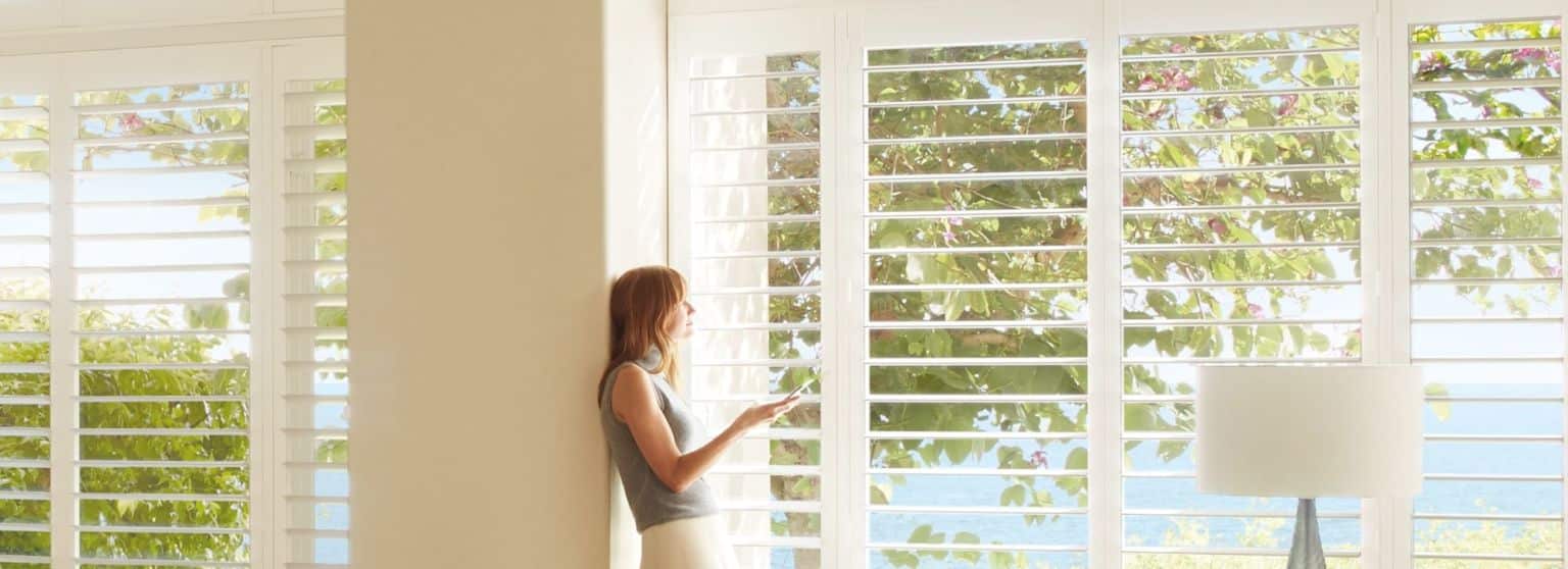 Arched Shutters, Bay Windows & Skylight Shutters