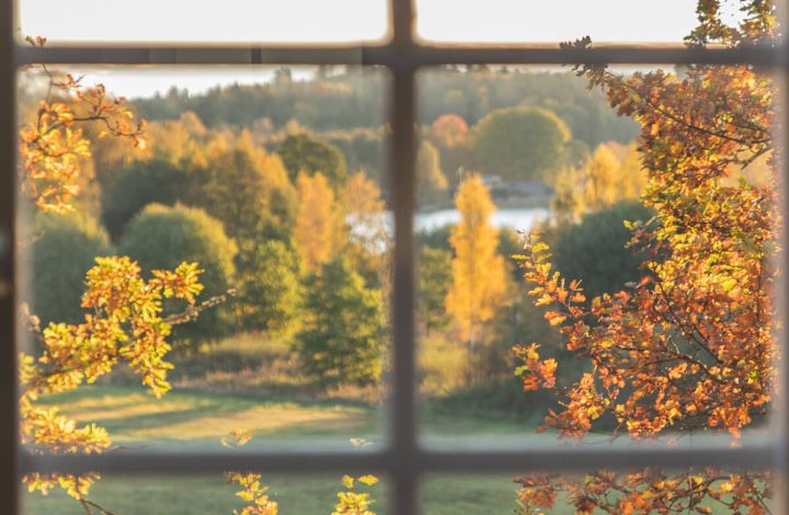 How to Bring The Feeling of Fall Indoors: Autumn Window Trends